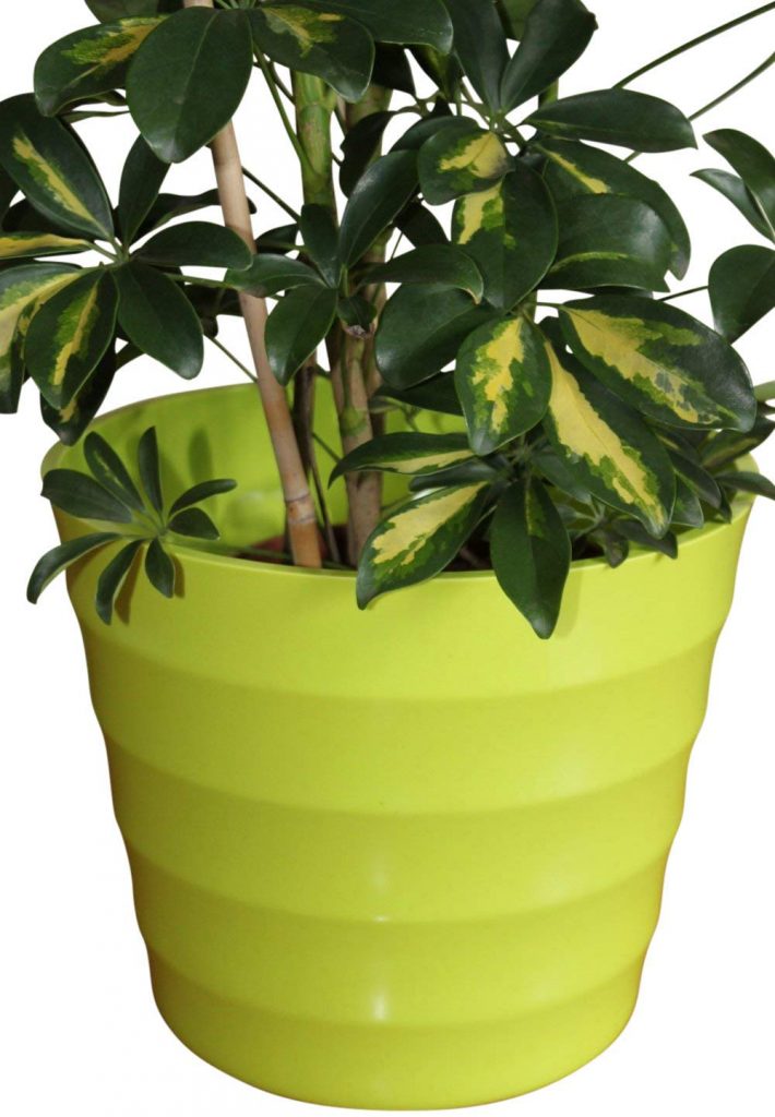 Quality Lime Green Rigid Plastic Plant Pot Cover – Diameter 28cms ...